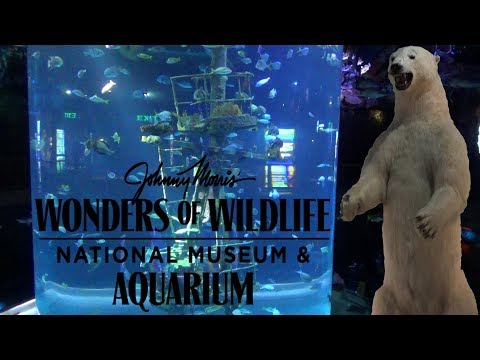 Wonders of Wildlife Aquarium & Museum Tour & Review with The Legend