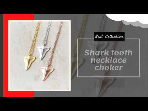 Shark Tooth Necklace Tiger Shark Necklace Shark Real Teeth Design