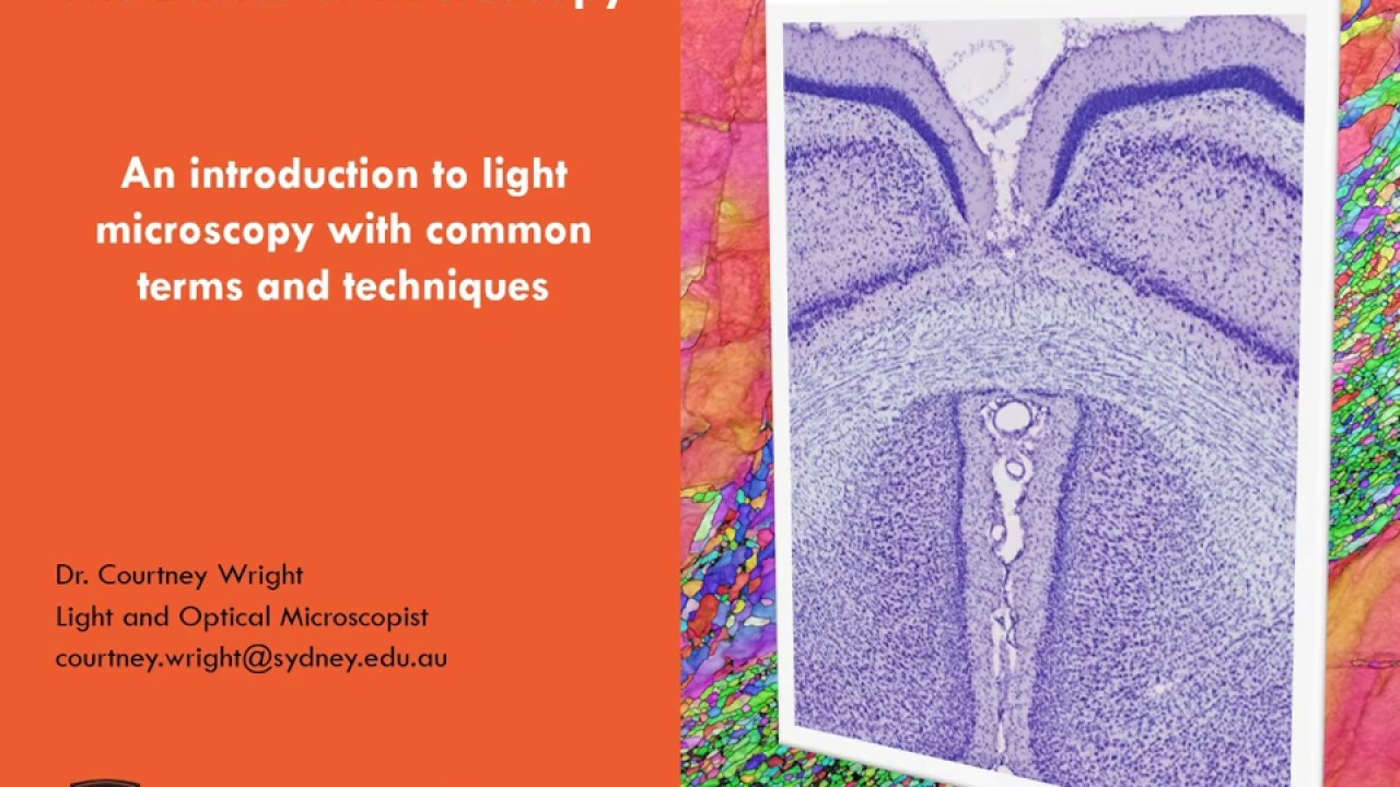 Intro to Light Microscopy 1: Microscopy Basics