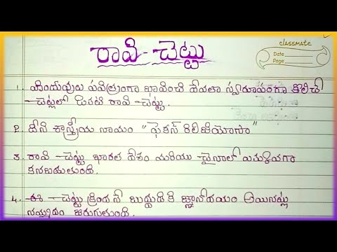 10 lines on peepal tree in telugu//essay on 10 lines peepal tree in telugu//peepal tree in telugu