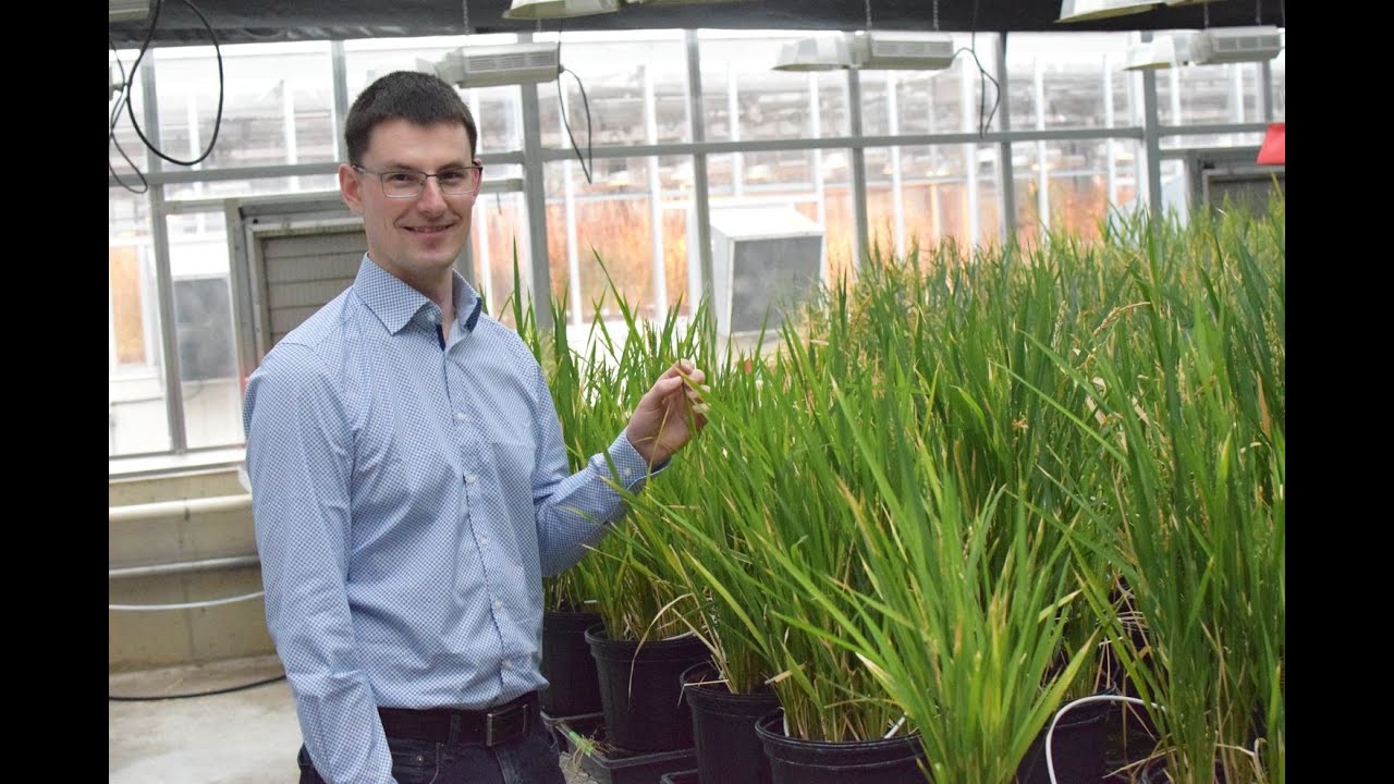 Developing and Improving CRISPR Tools for Plant Genome Editing