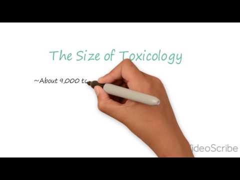 Toxicology Report