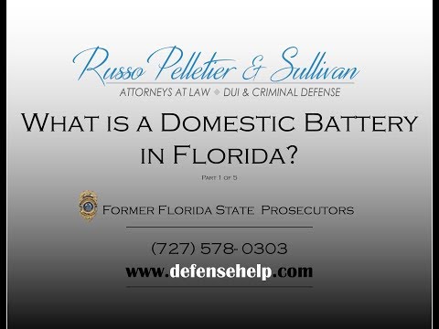 What is a Domestic Battery in Florida?