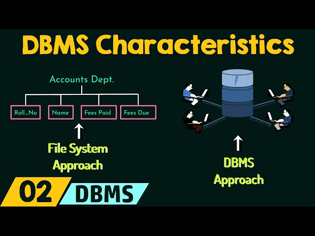 Understanding the Key Characteristics of Database Management Systems (DBMS) | Galaxy.ai