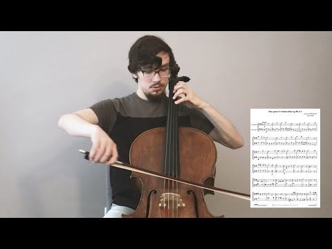 Let's Play a Duet: Cello