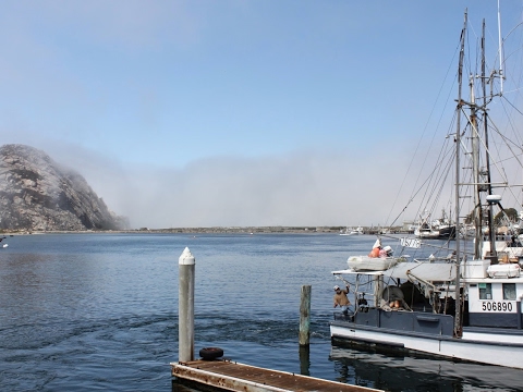 Steam Community :: Video :: Virus Gang Live Stream