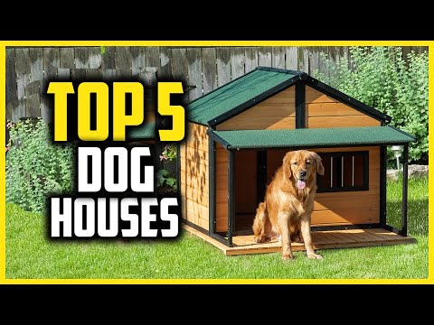 ✅5 Best Dog Houses of 2024