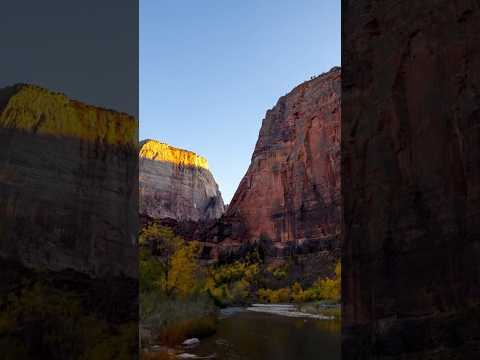 Fall colors in Zion National Park, Utah #zion #zionnationalpark #summeronshorts