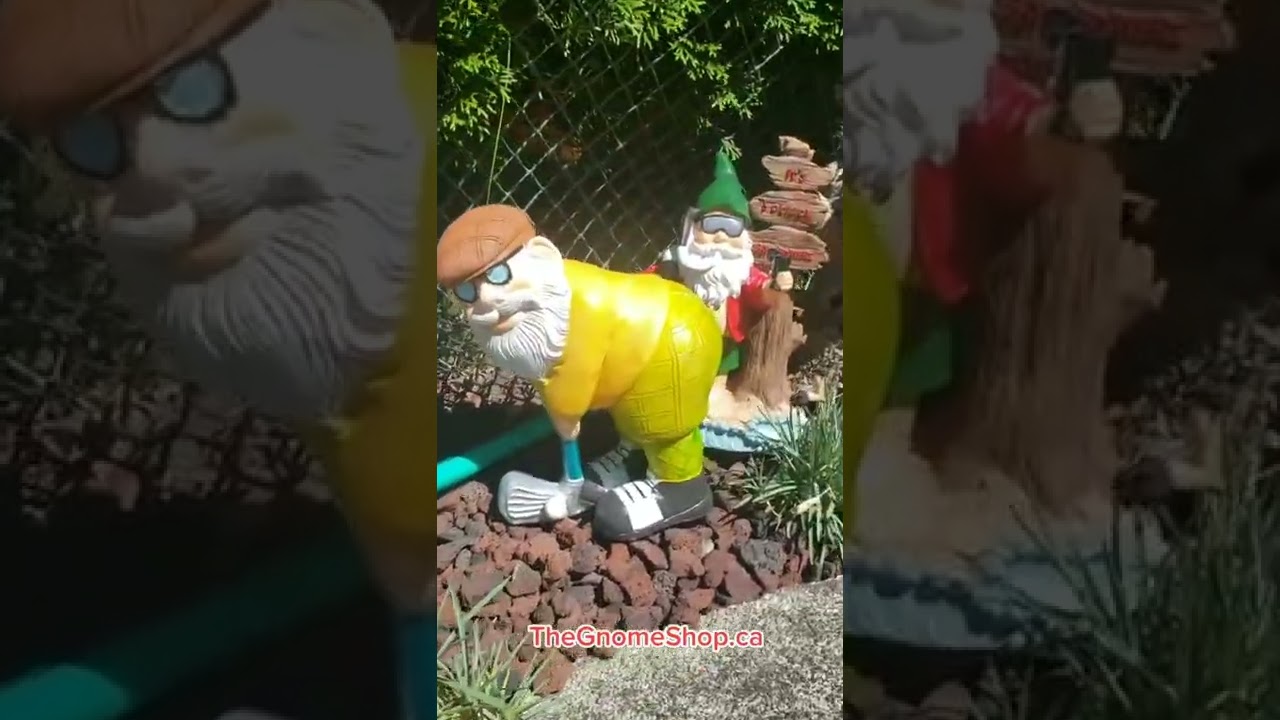 The Funny Garden Gnomes (Gnomes Statues For Garden)