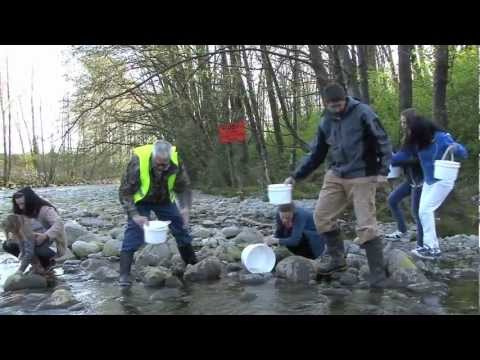 Pacific Salmon Foundation 1987-2012