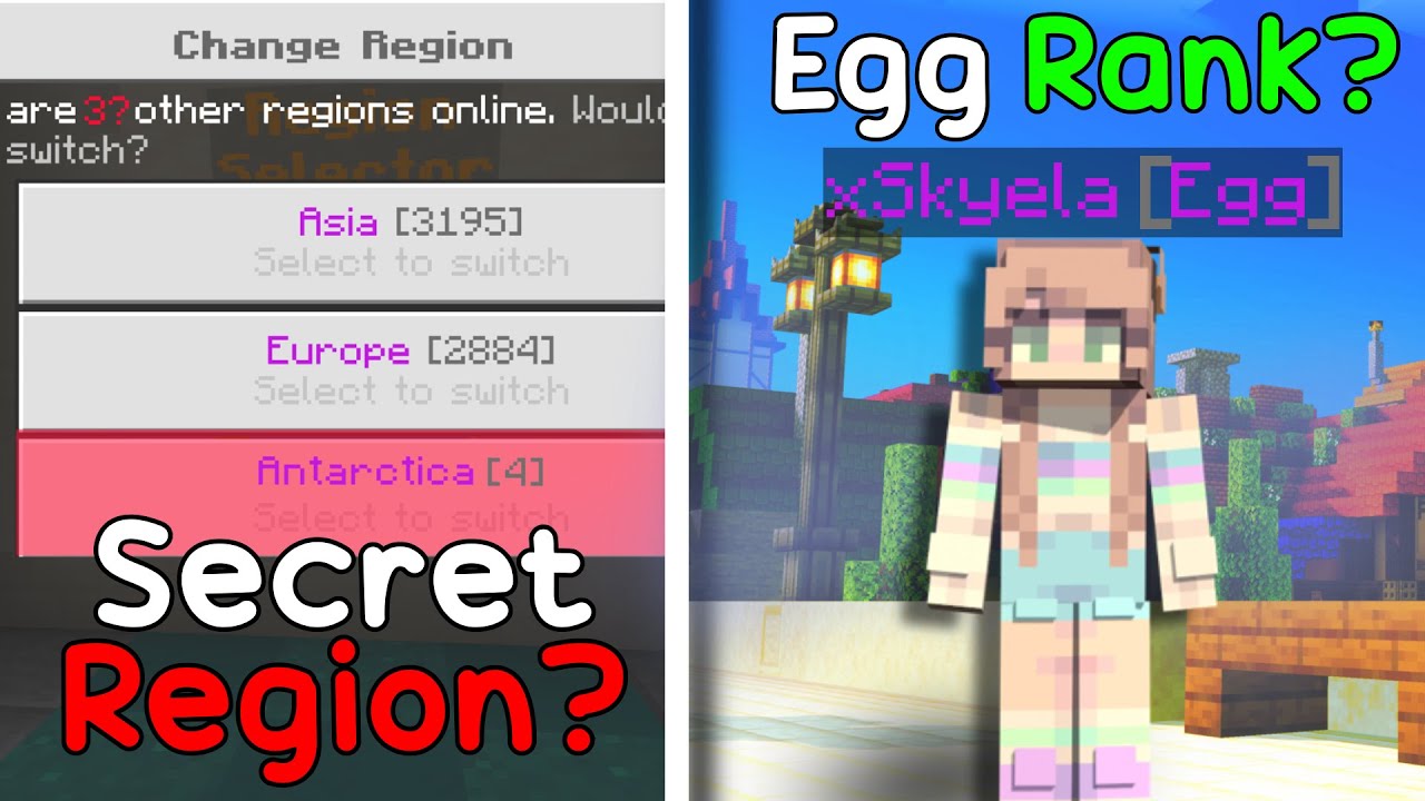 20 Hive Facts You Didn't Know