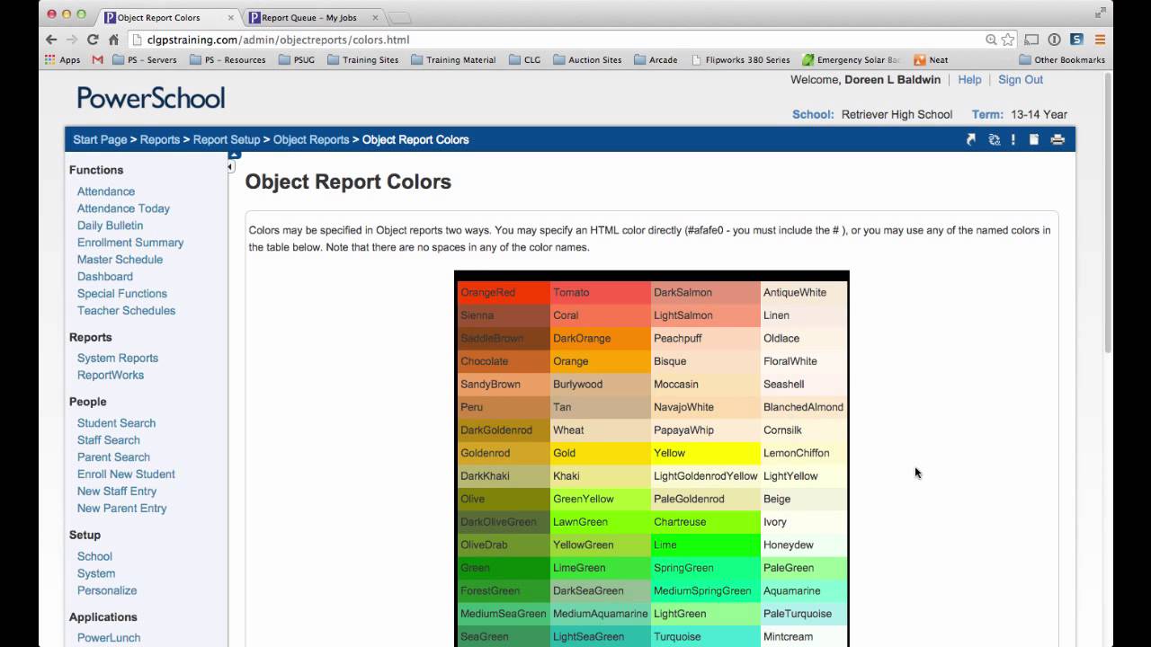 VID Object Report
