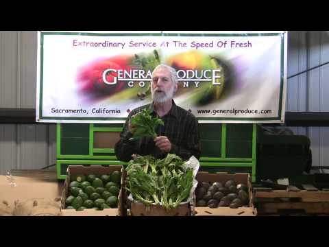The Produce Beat - Epazote