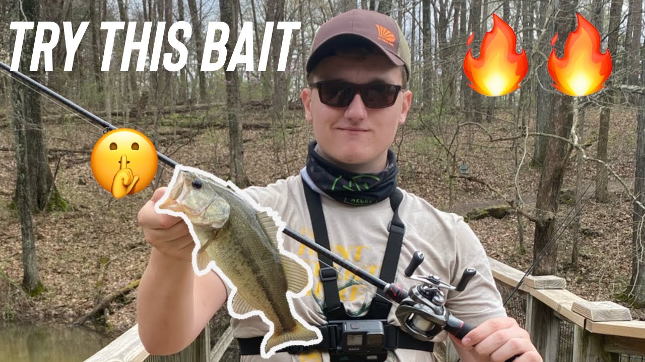 Best Bait For Early Spring Bass Fishing! (POND FISHING)