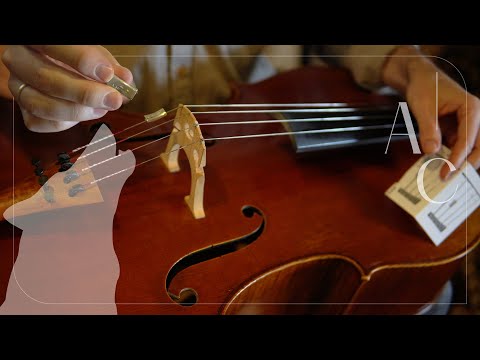 Dictum Wolf Resonator Cello e - f# iMuso