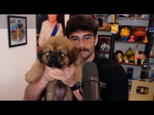 "I'm sobbing!": Fans go wild as HasanAbi reveals his new puppy on ...