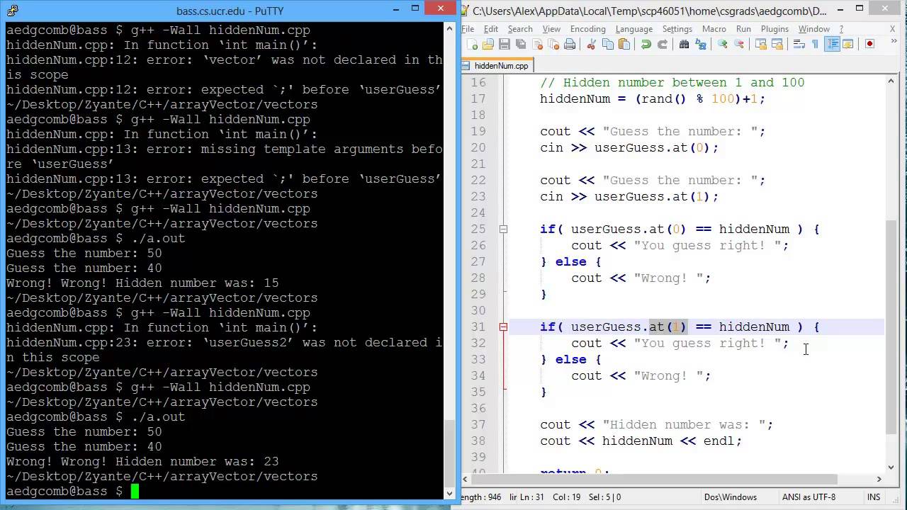 Programming example: Vectors