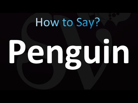 How to Pronounce Penguin (Correctly!)