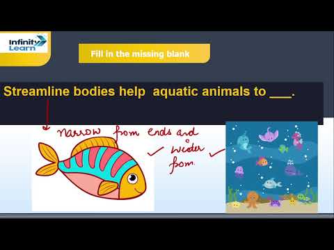 Streamlined bodies help aquatic animals to ________