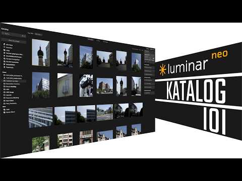 Luminar Neo Katalog: Das 1x1 wie der Katalog aufgebaut ist #02