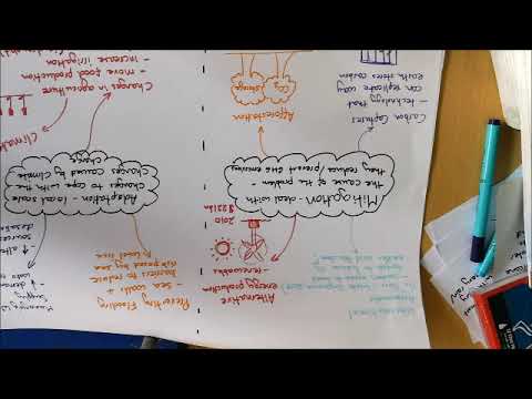 Mitigation and adaptation