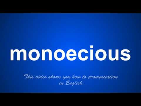 the correct pronunciation of monogamous in English.