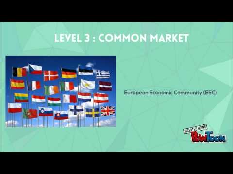 regional economic integration