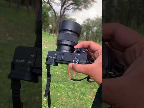 Sony A6400 50mm lens photography test #photography #sonyportrait #sony #trend #viral #shrots