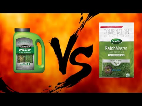 How to Repair Grass Patches -- Scotts PatchMaster vs. Pennington One Step