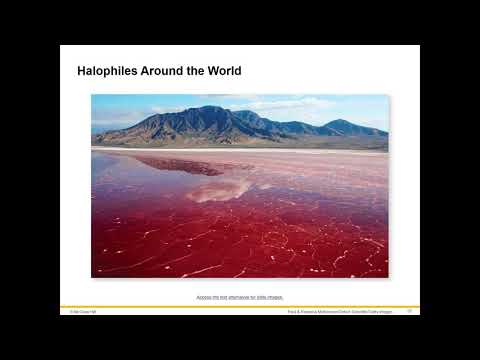 Overview of Archaea