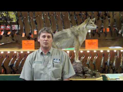 sportsmans warehouse henderson nevada coyote hunt