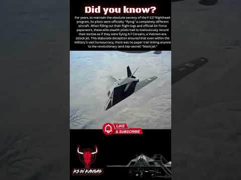F-117 Nighthawk: The Original Stealth Badass! 😈 #militaryaircraft #aviation #militaryaviation