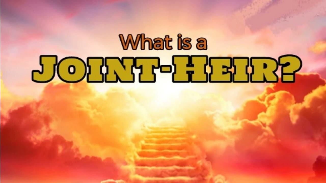 What does 