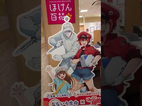 Cells at work (Japanese animation)