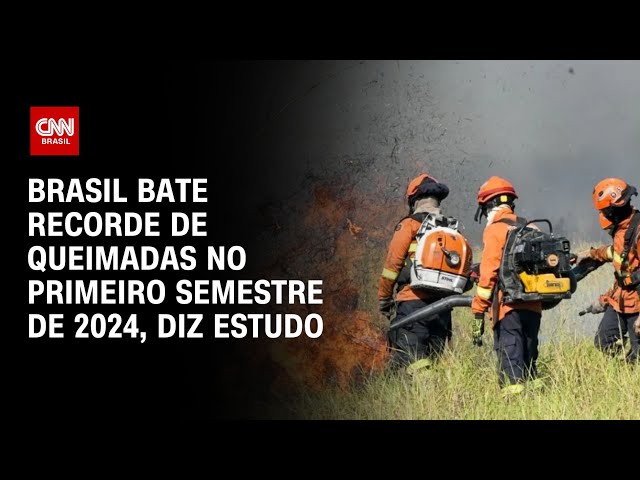 Brasil Bate Recorde De Queimadas No Primeiro Semestre De 2024 Diz