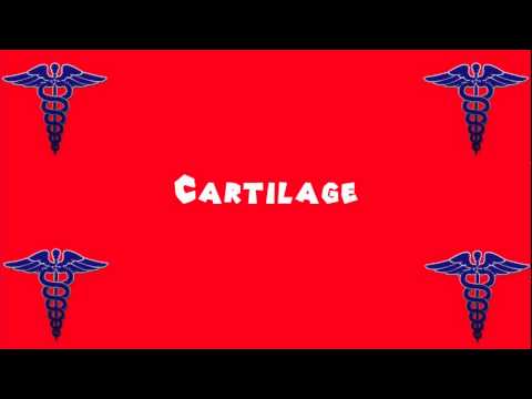 Pronounce Medical Words â Cartilage