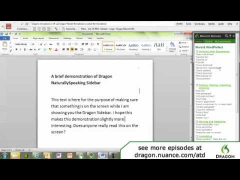 Ask the Dictator – Dragon Sidebar | Voices of Dragon