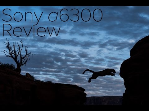 Sony a6300 Review - The best camera for $1000?