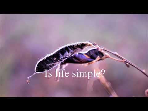 Existentialist Poetic Documentary