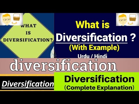 What is Diversification Urdu Hindi