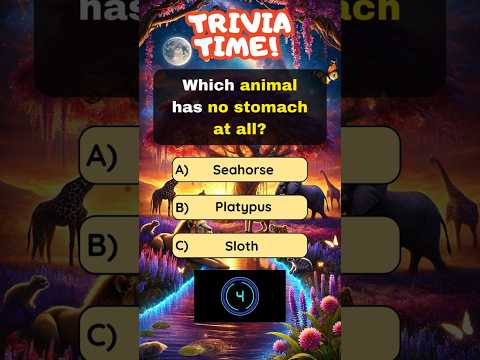 🚀 Part 13 | General Knowledge Quiz! 🧠🫵🤯 #funtrivia #randomtrivia #quiz