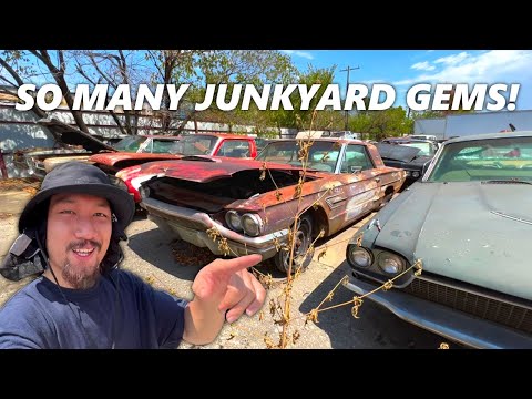 This Texas Junkyard is FULL of Classic Cars!