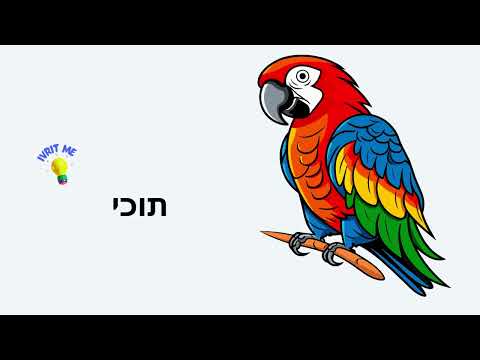 Discover Hebrew Words Starting with the Letter ת!