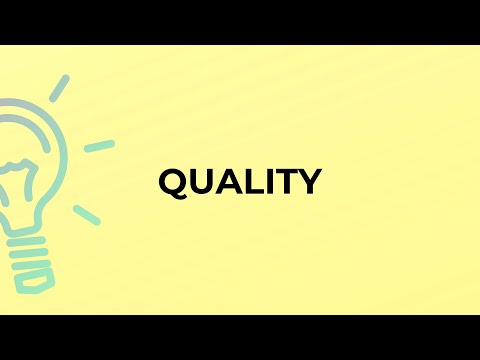 What is the meaning of the word QUALITY?