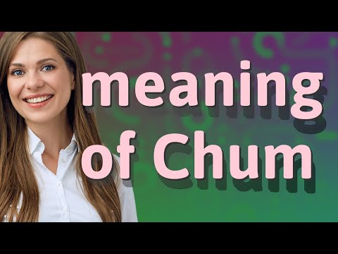 Chum | meaning of Chum