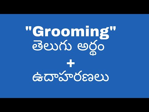 Grooming meaning in telugu with examples | Grooming తెలుగు లో అర్థం @meaningintelugu