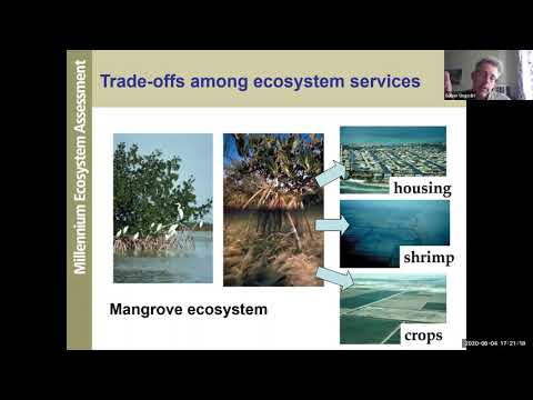The Role of Economics and Economic Policy in IWRM and Climate Change