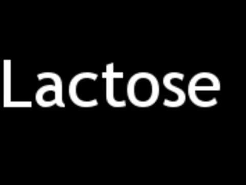 How to Pronounce Lactose