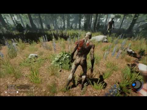 The Forest Episode 28 Effigies