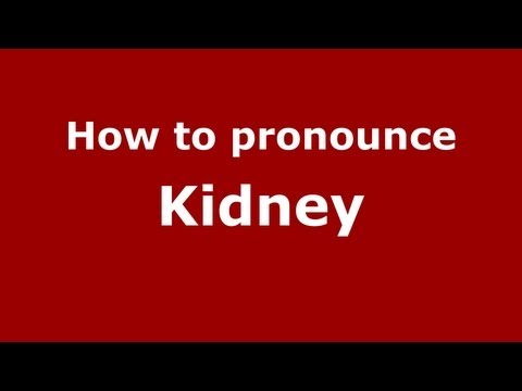 How to Pronounce Kidney - PronounceNames.com